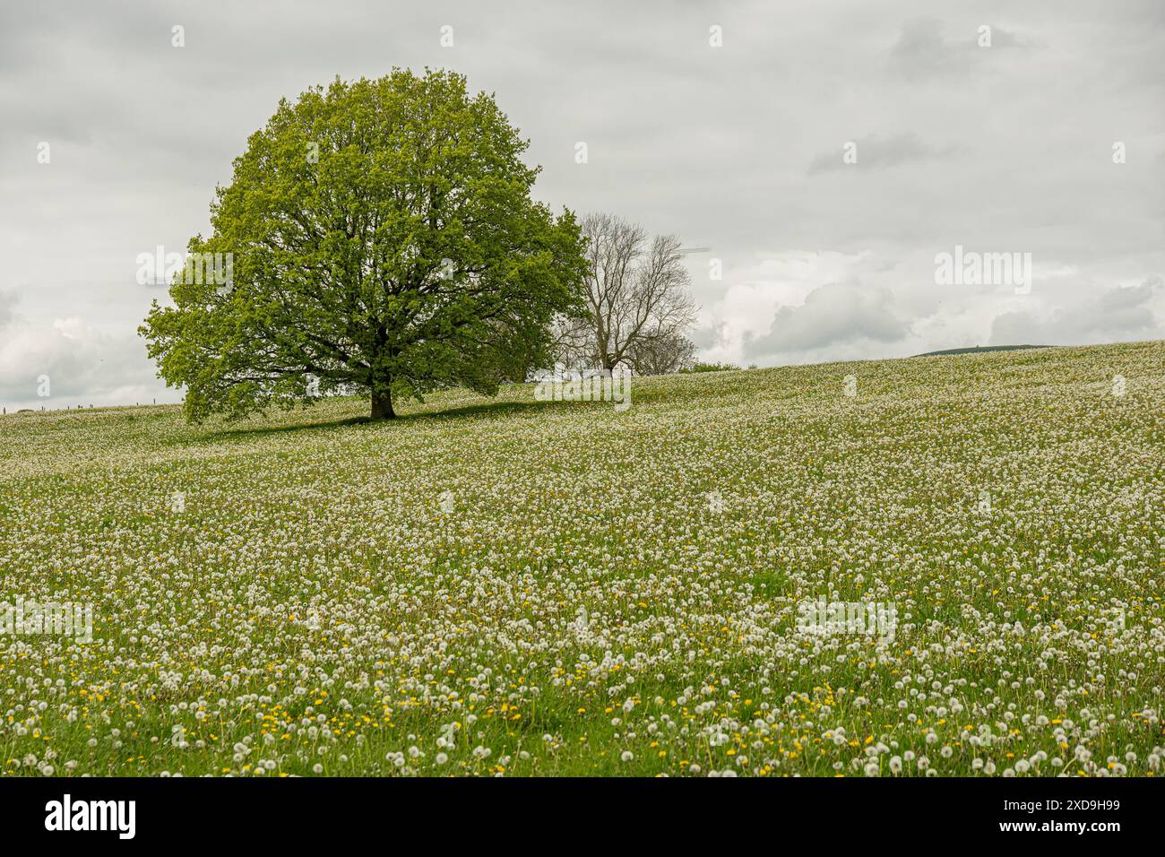 Peak District view Stock Photo - Alamy