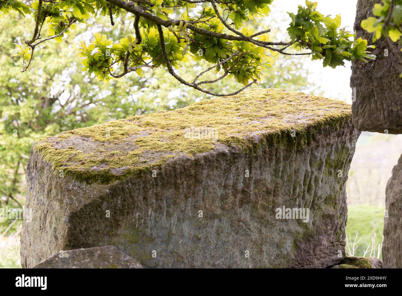 Peak district spring hi-res stock photography and images - Alamy