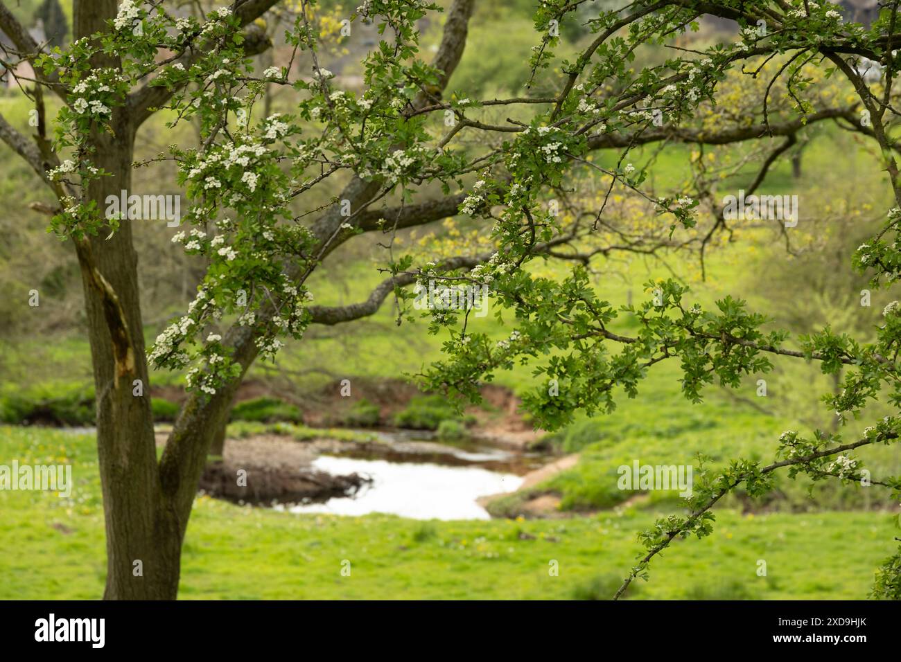 Peak District view Stock Photo - Alamy