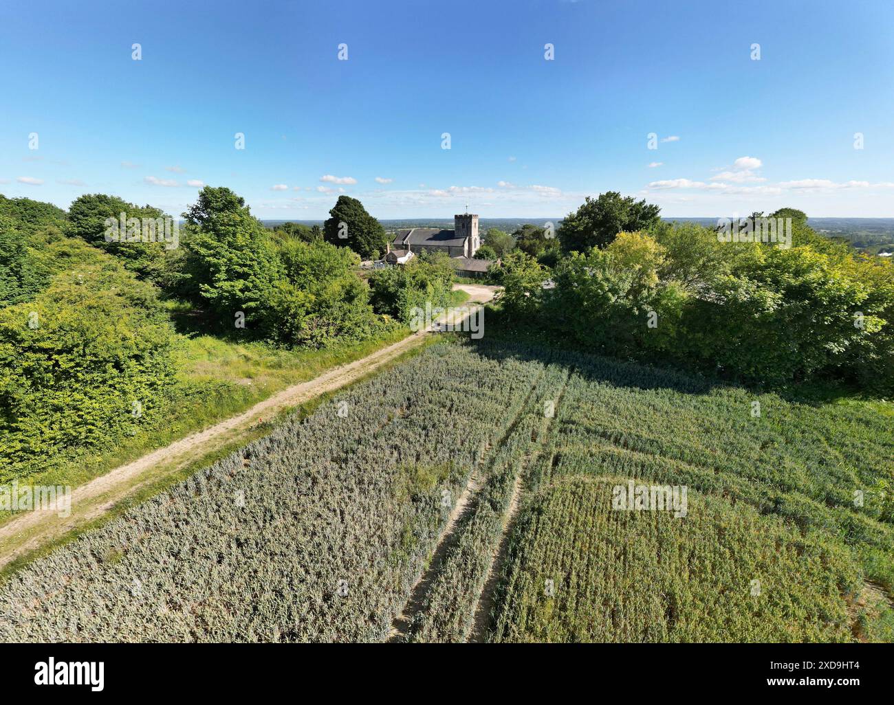 St Mary's Church, Sutton Valence, near Maidstone - and the Weald of ...