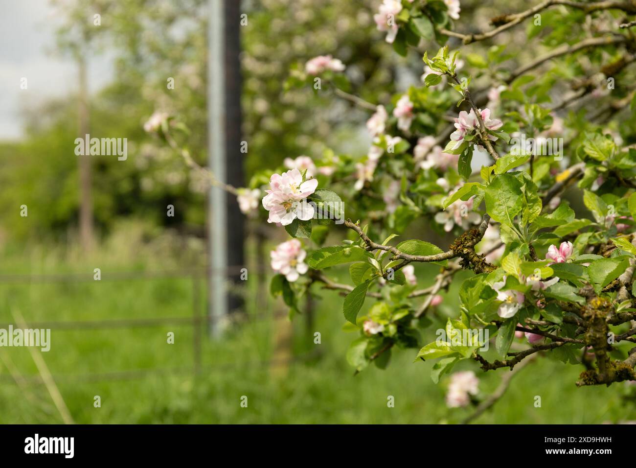 Peak District view Stock Photo - Alamy