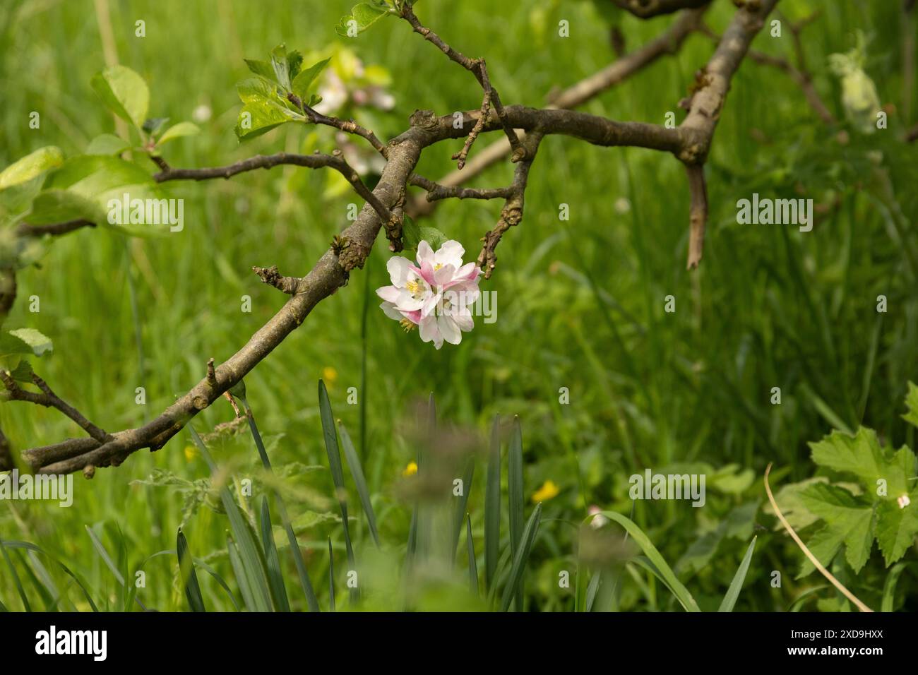 Peak District view Stock Photo - Alamy