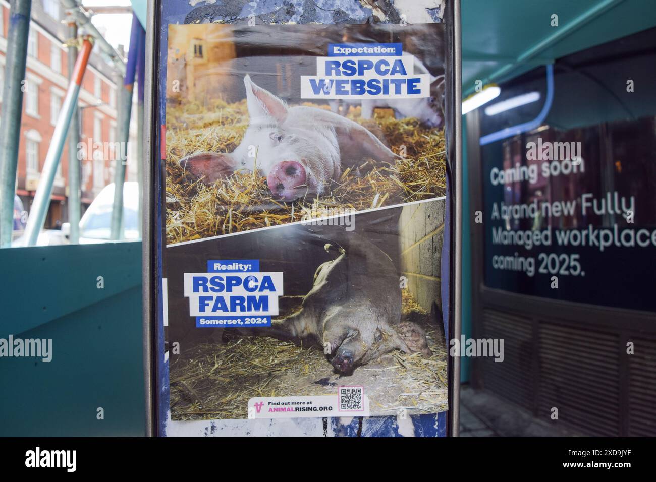 London, UK. 21st June 2024. A poster in Central London from animal rights activist group Animal ...