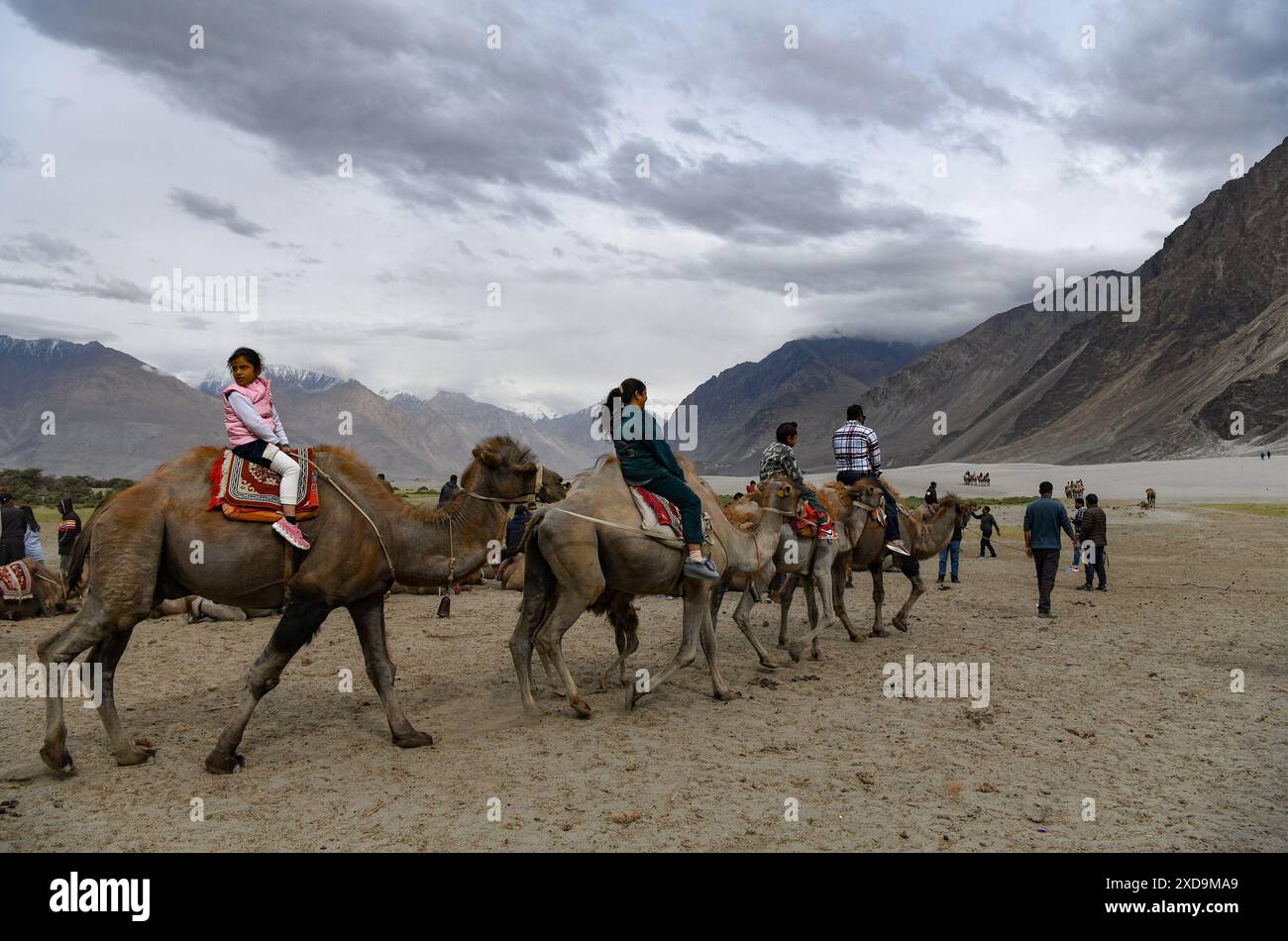 Nubra, Leh, Ladakh, India. 21st June, 2024. Visitors ride on Double ...