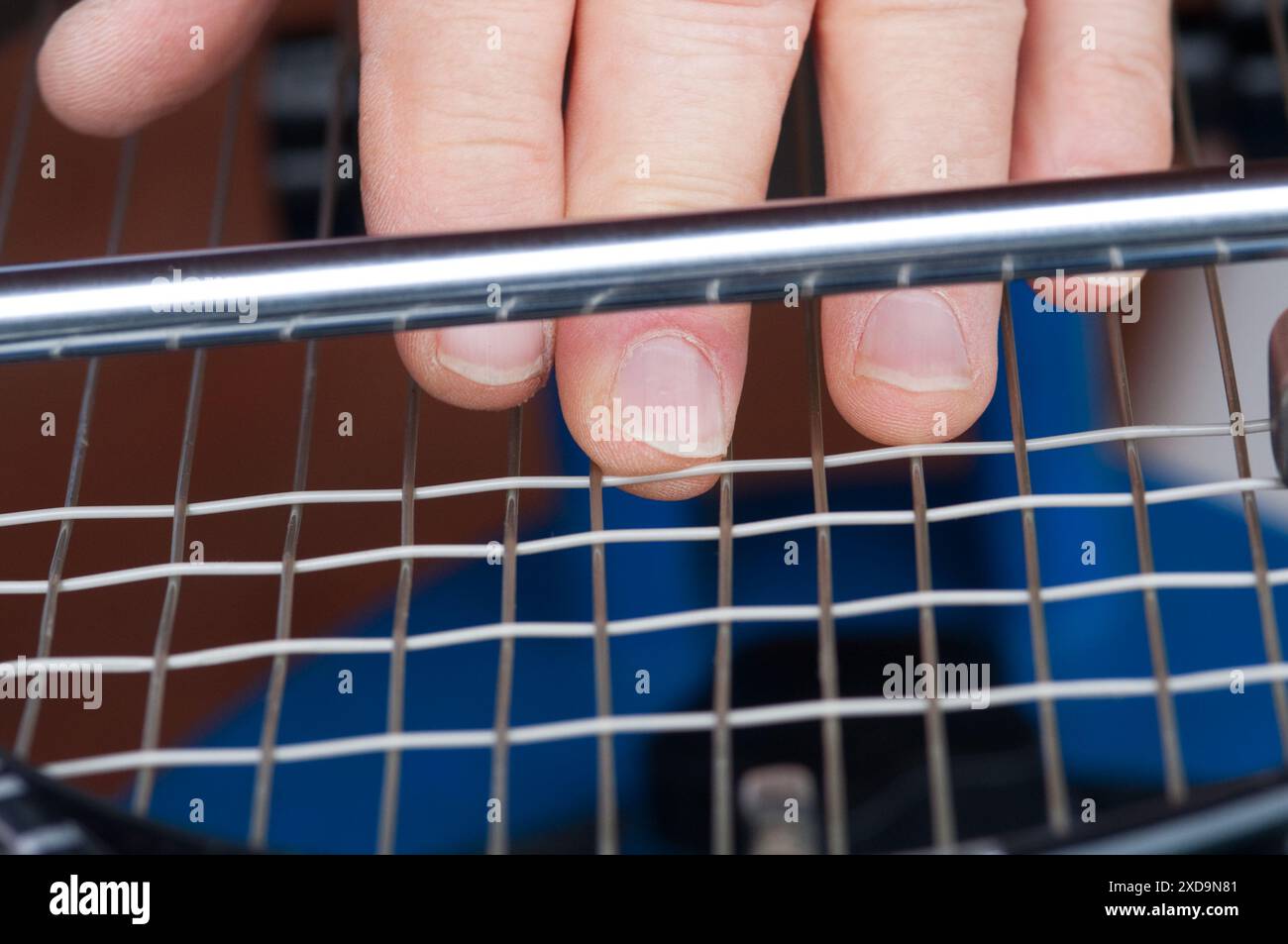 Tennis Racket in Stringing Machine Being Repaired Stock Photo - Alamy