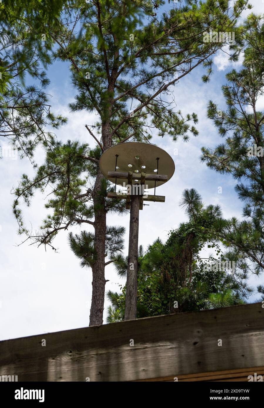 fiberglass nest platforms are placed on power lines to keep eagle nests ...