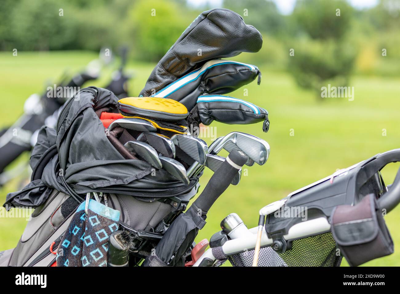 Golf clubs in a golf bag. Set of golf clubs for a golfer. green ...