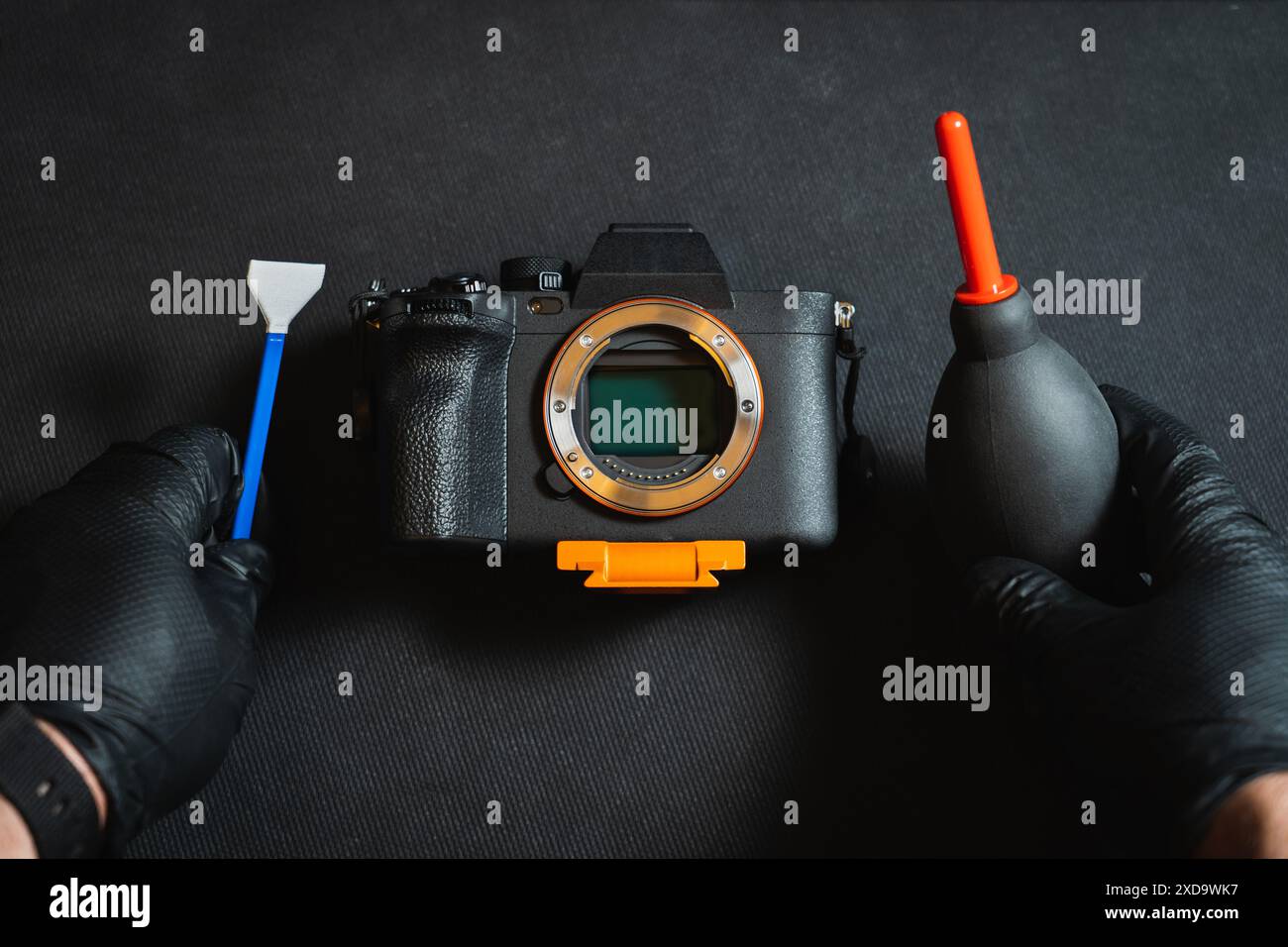 Cleaning the sensor of a photo camera. Male hands in rubber gloves hold ...