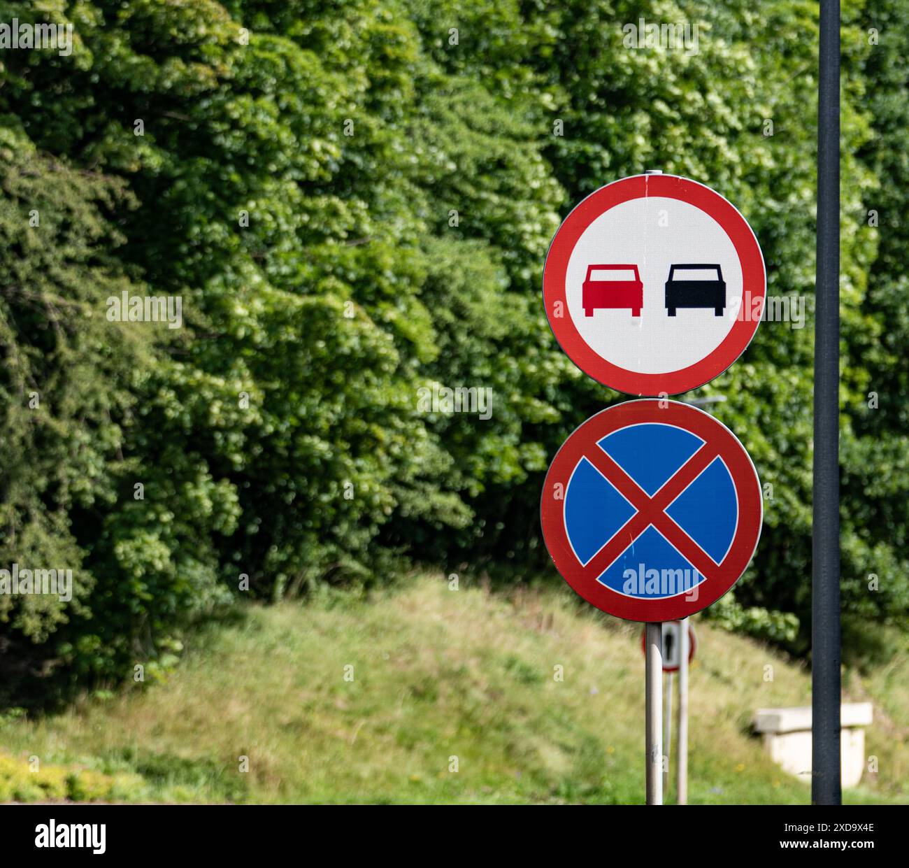 No Parking or Overtaking Allowed Road Sign in Front of Green Trees ...