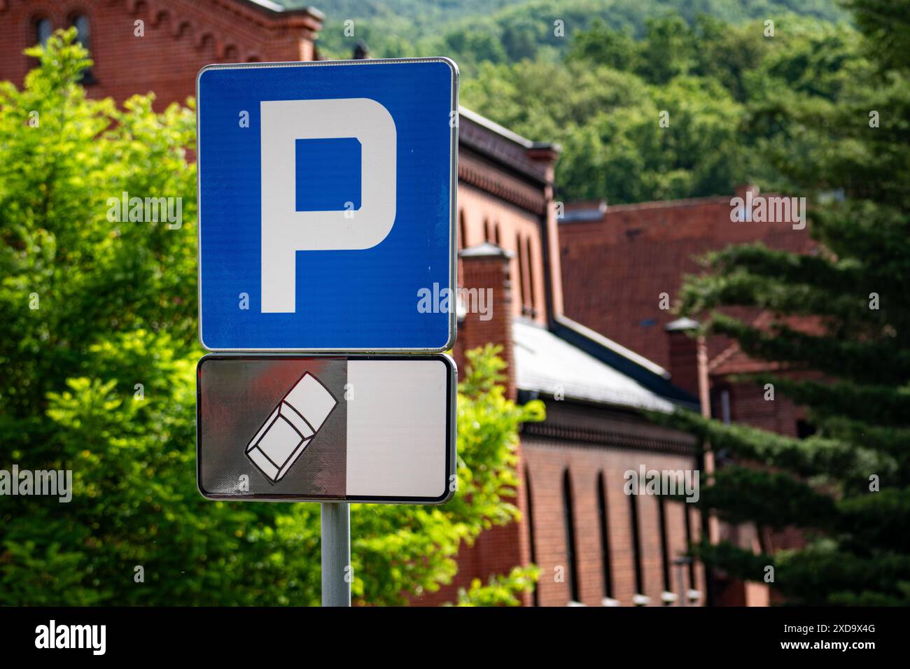 Blue Parking Sign With White P and Car Symbol in Front of Brick ...