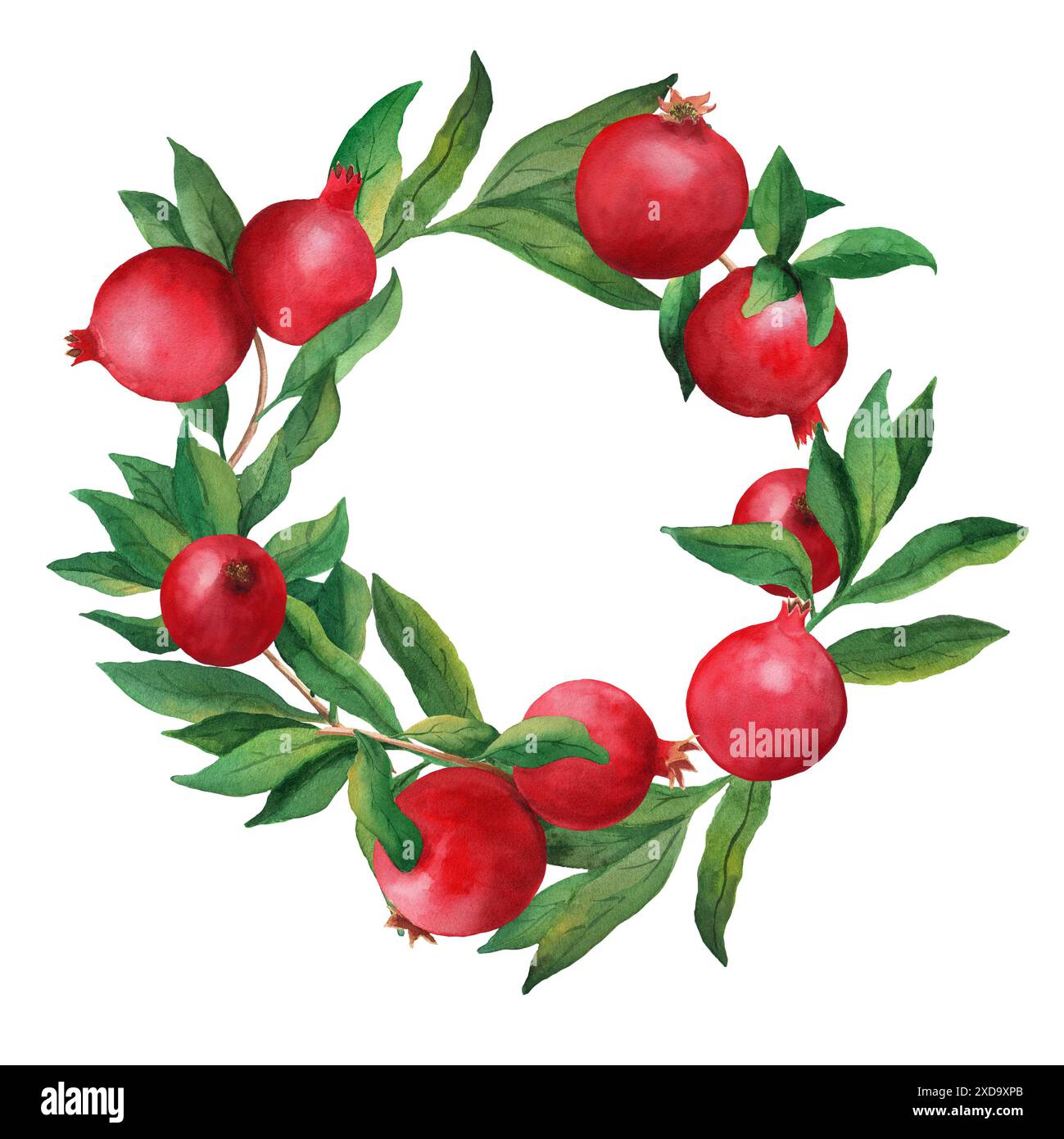 Pomegranate wreath, watercolor botanical illustration of red fruit and ...