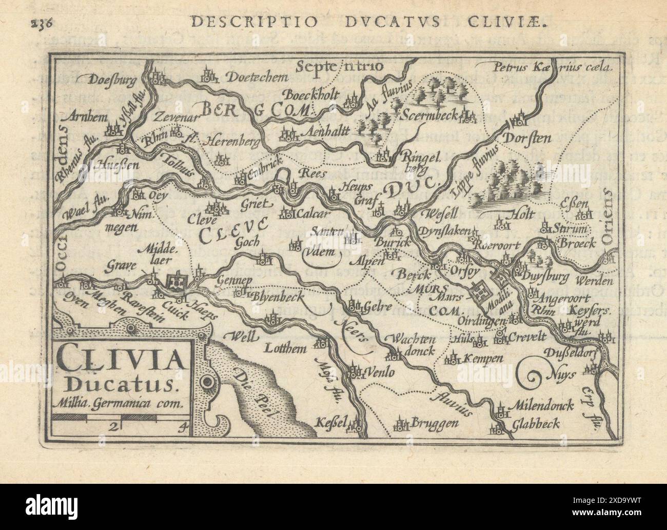 Clivia ducatus hi-res stock photography and images - Alamy