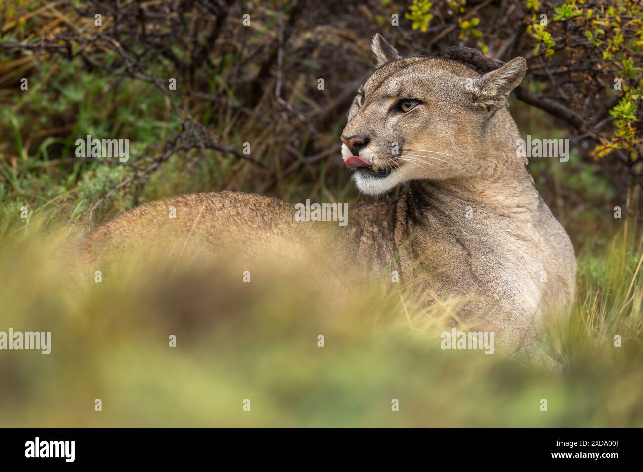 Turning lips hi-res stock photography and images - Alamy