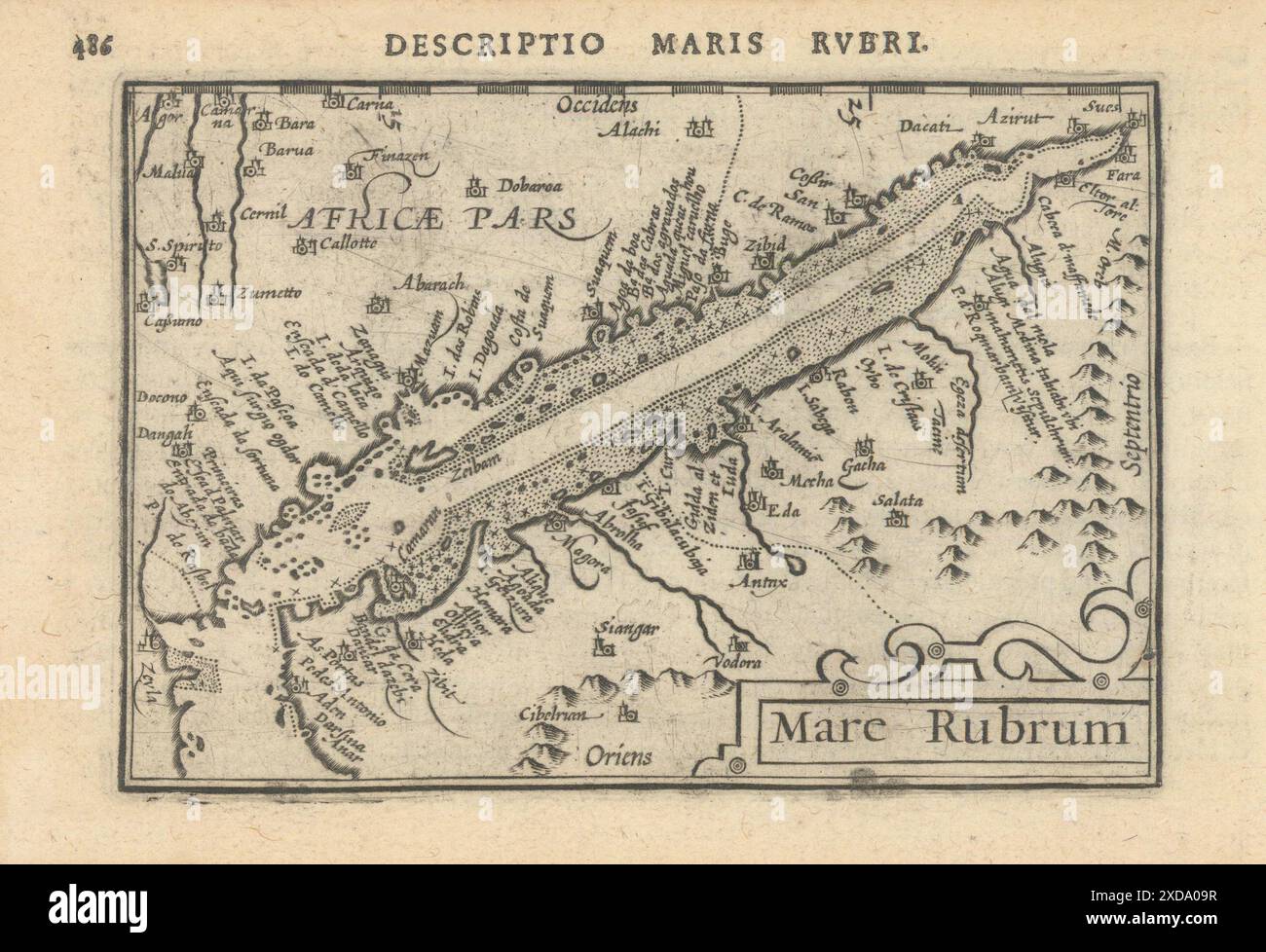 Maris Rubri / Mare Rubrum by Bertius / Langenes. The Red Sea 1603 old ...