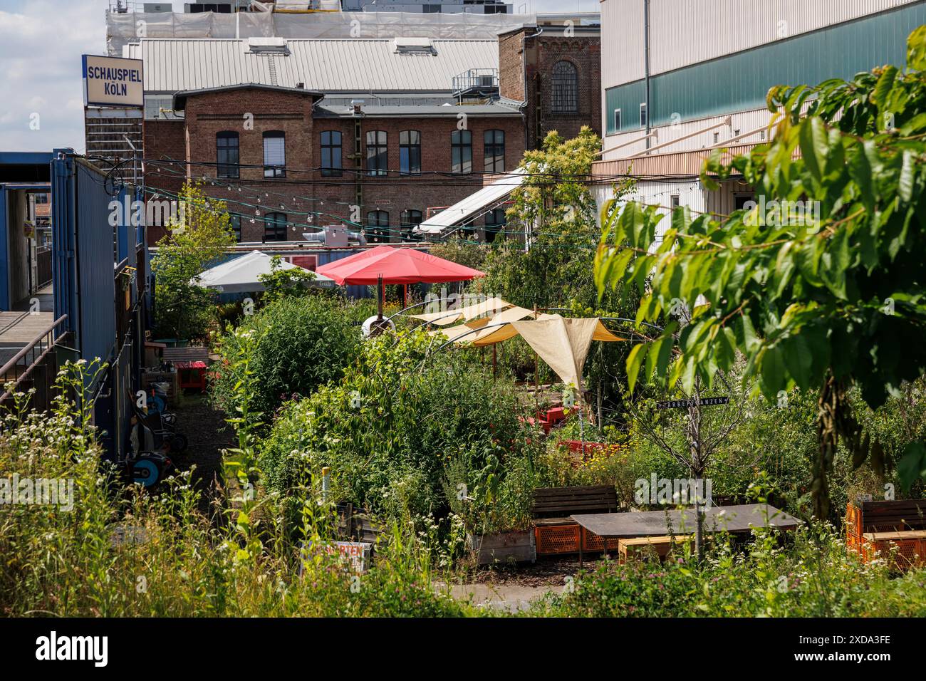 the urban kitchen garden CARLsGARTEN on a 3000 sqm industrial wasteland ...