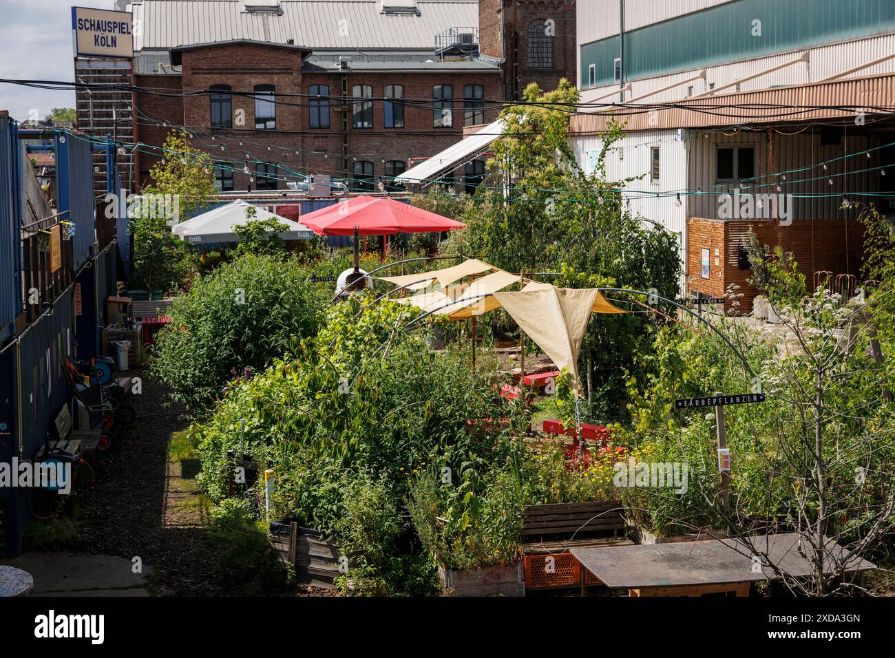 the urban kitchen garden CARLsGARTEN on a 3000 sqm industrial wasteland ...