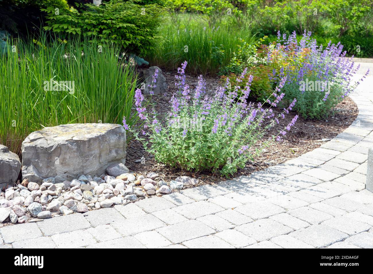 Low maintenance luxury landscaping at a condominium. River rock, armour ...