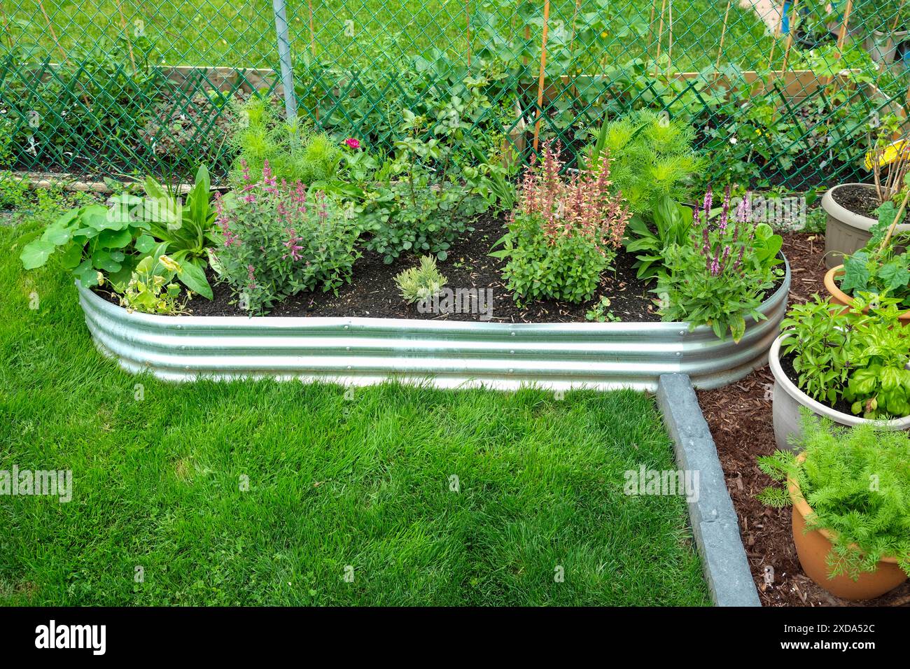 Perfect for tenants, this portable edible garden features a galvanized ...