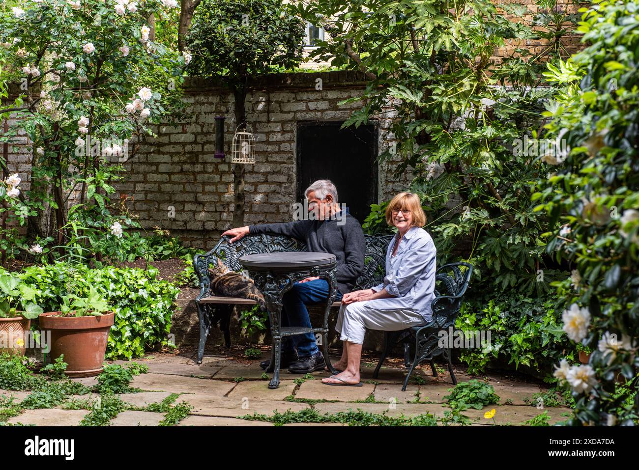 Portrait of artist, David Gentleman with his wife Sue in their Camden ...