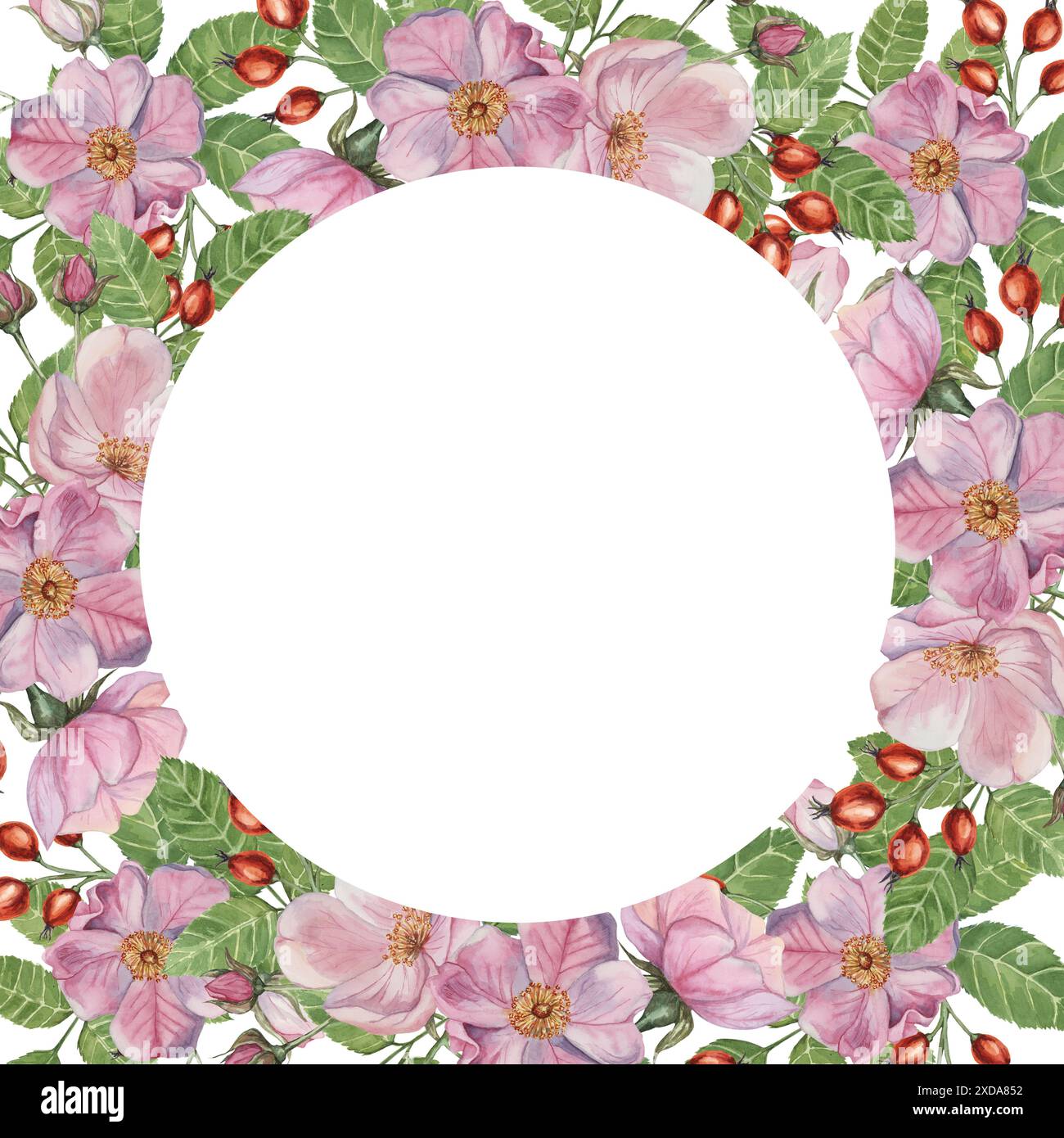Rosehip red berries round frame template, pink wild rose flowers and ...