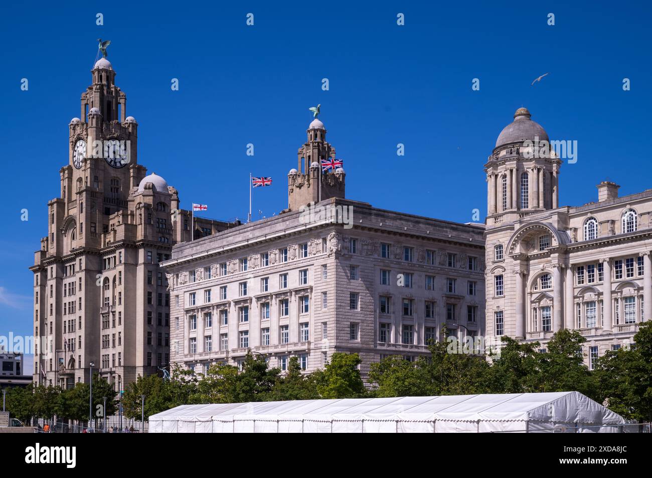 The famous Liver building and Cunard building, fronting the Mersey ...