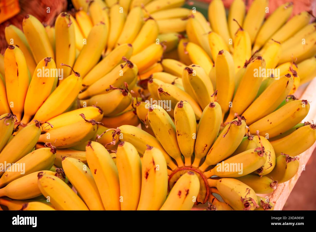 Fruits and vegetables on local market in Cambodia Stock Photo - Alamy
