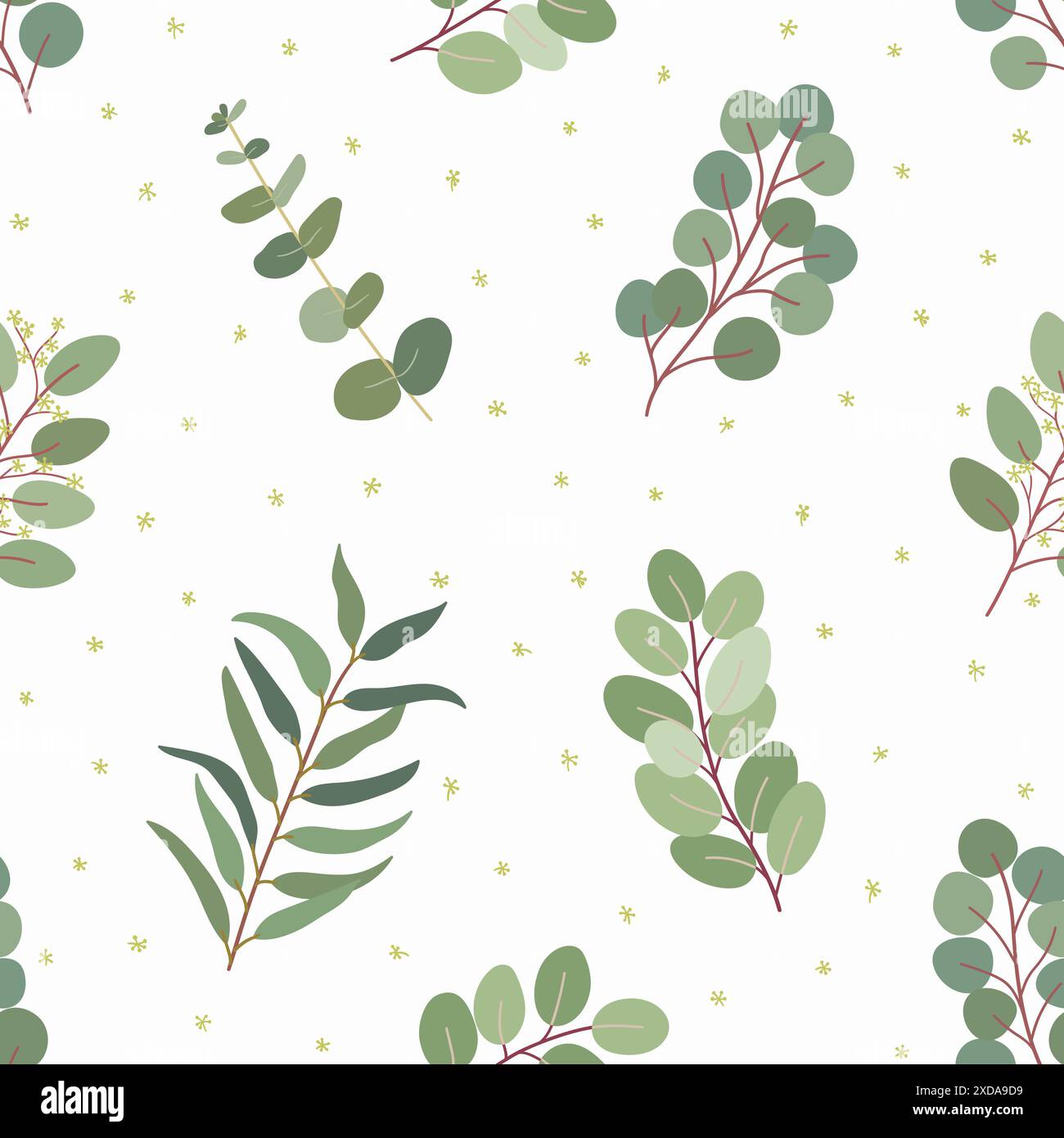 Spiral eucalyptus Stock Vector Images - Alamy