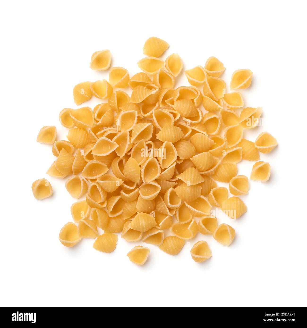 Heap of uncooked shell pasta isolated on white background close up ...