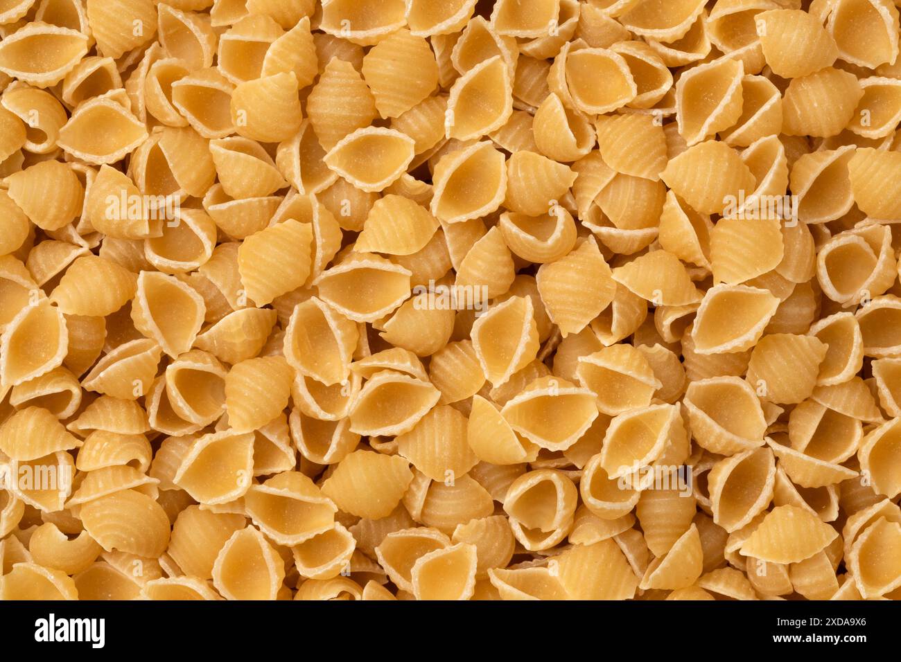 Uncooked shell pasta full frame as background background close up Stock ...
