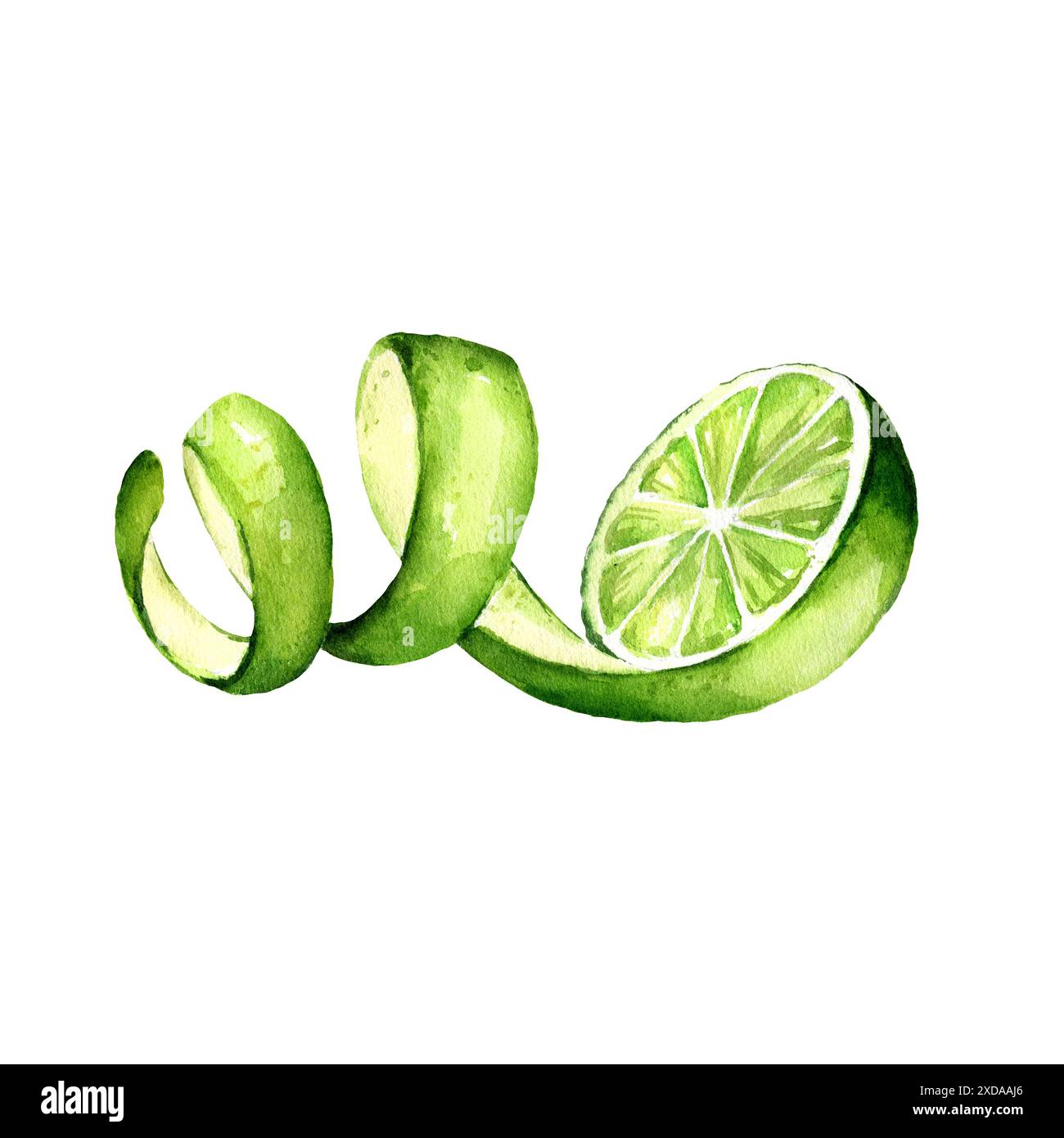 watercolor lime with peeled skin, hand drawn illustration of half a ...
