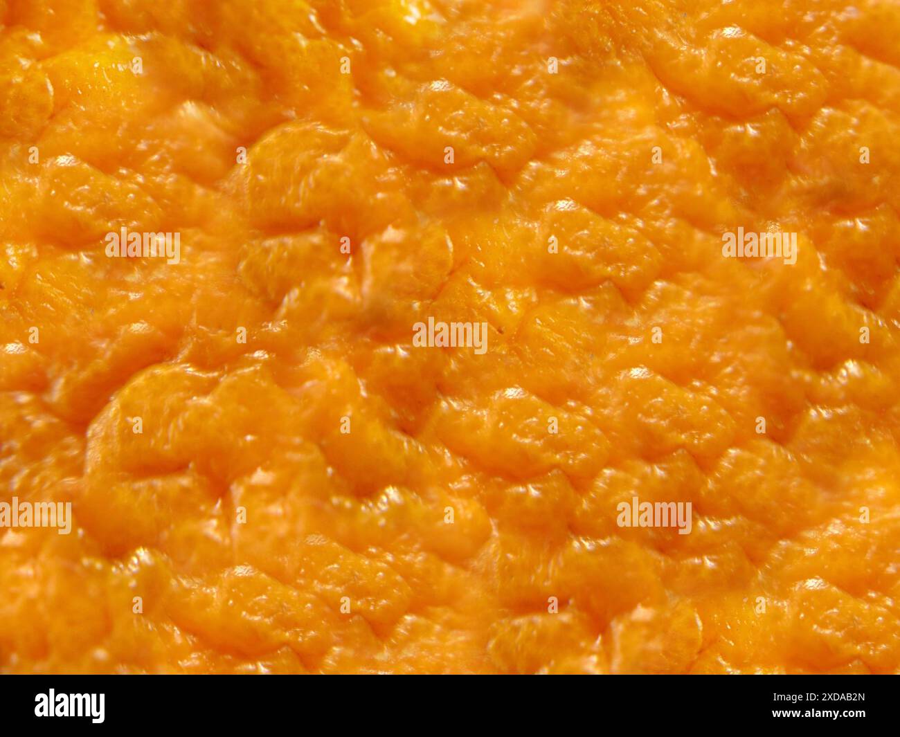 Bumpy texture hi-res stock photography and images - Alamy