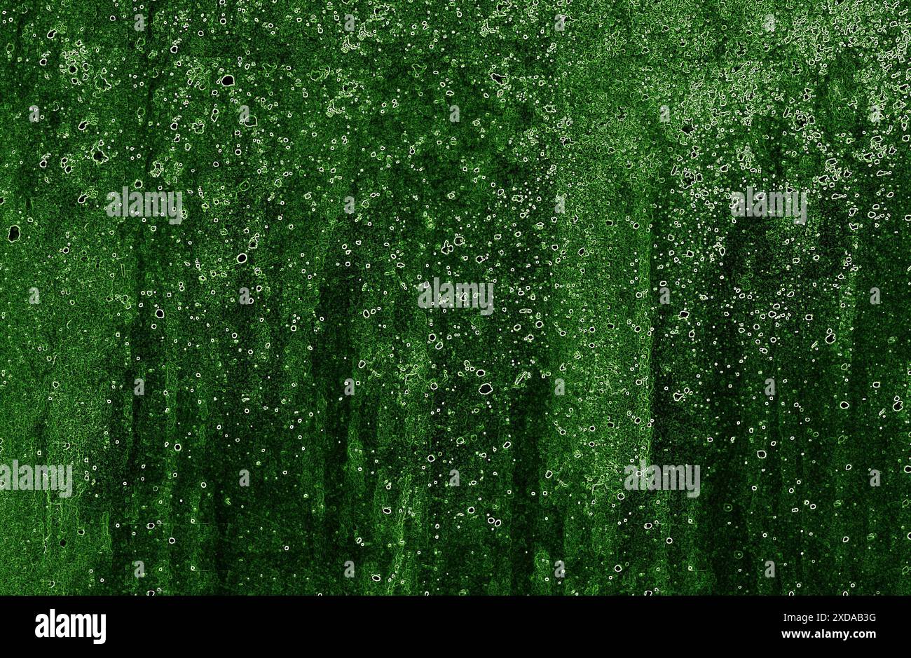 Green nature elements background hi-res stock photography and images ...