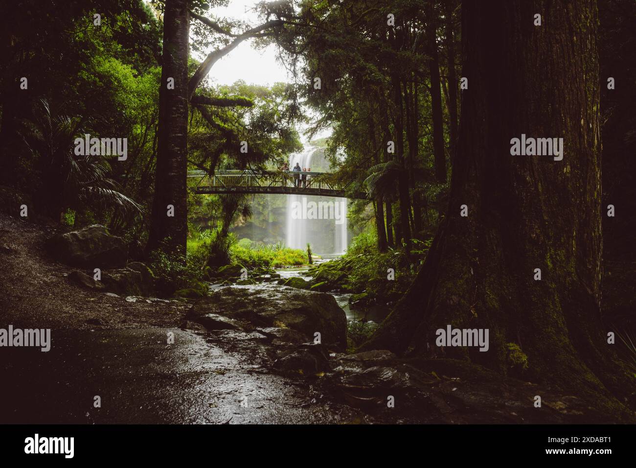 Comforting ambience hi-res stock photography and images - Alamy
