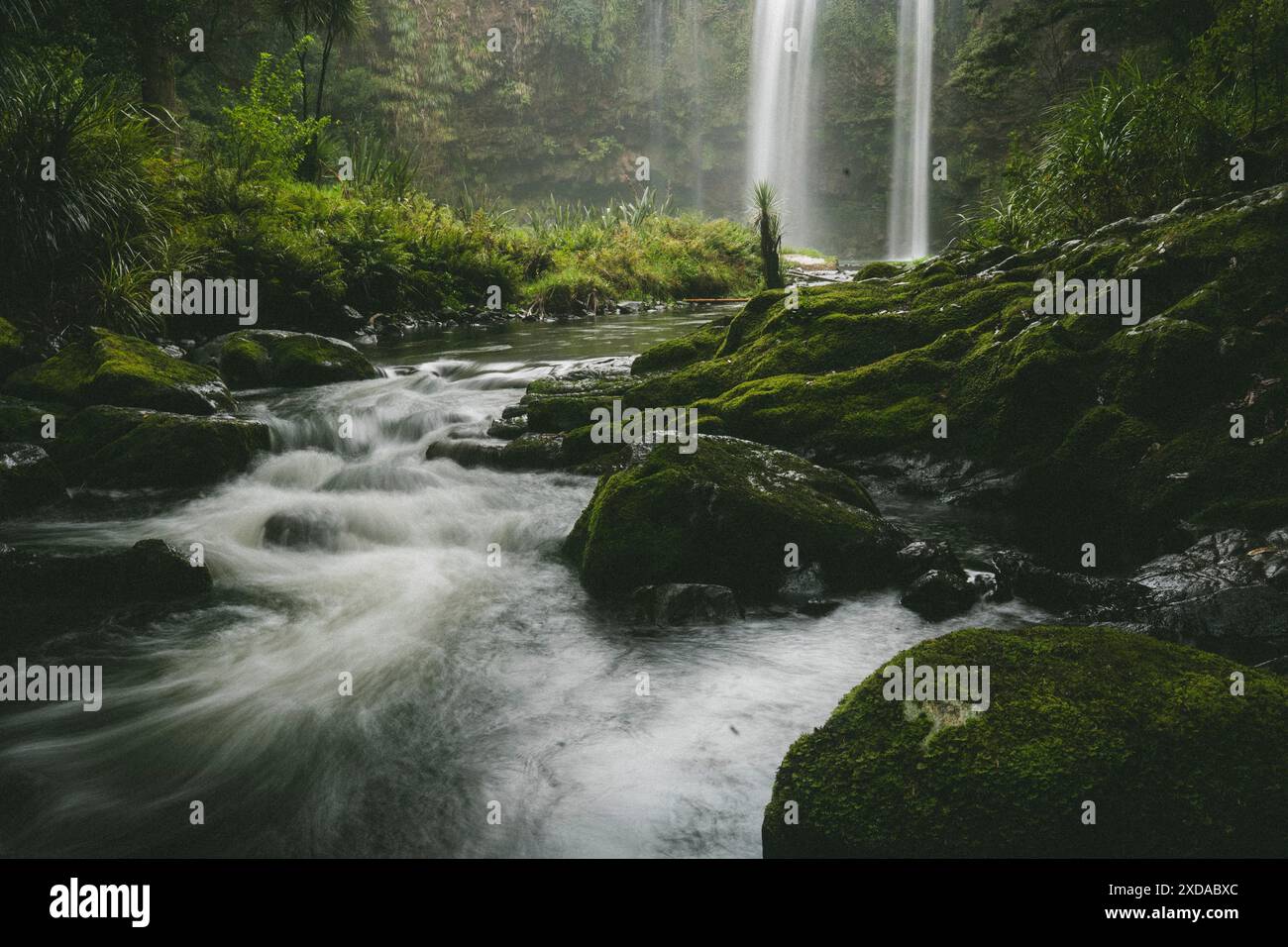 Moss-covered river flowing into a soothing waterfall surrounded by ...