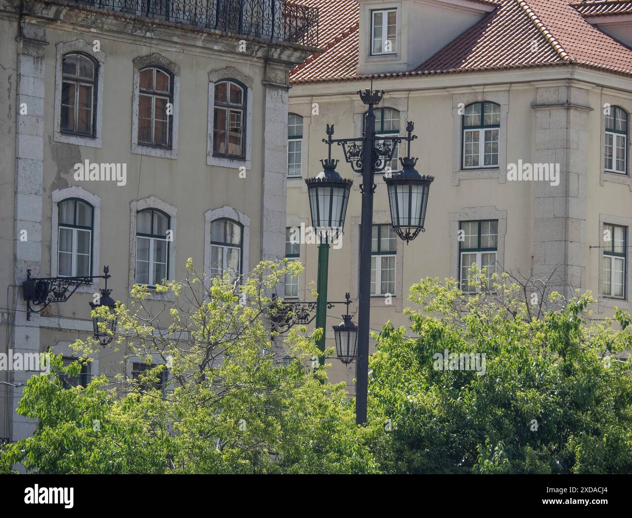 Historic buildings with large windows behind streetlights and green ...