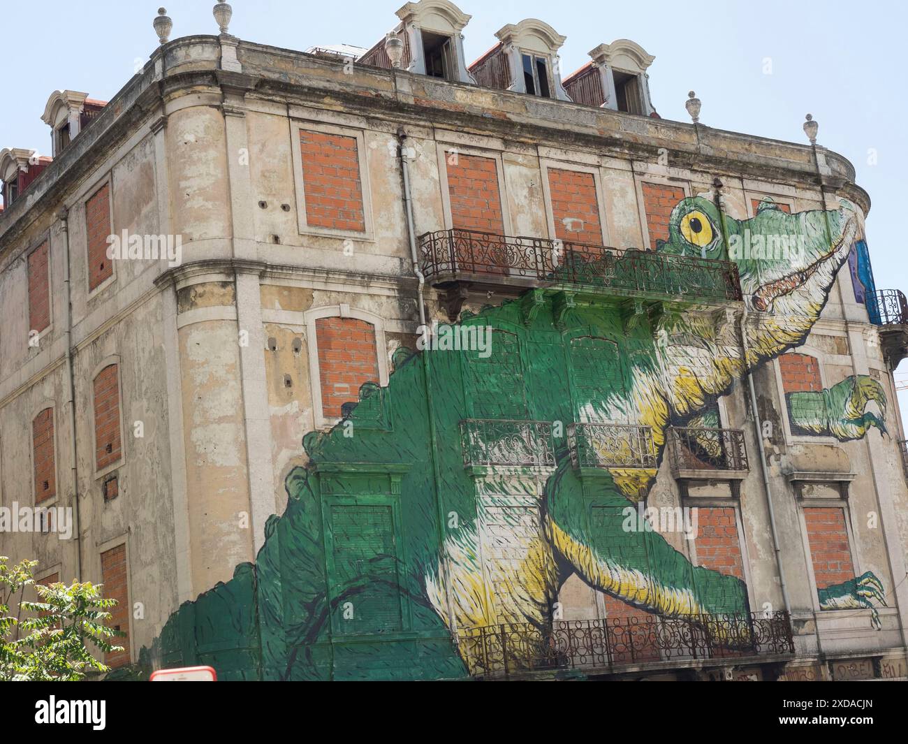 Green crocodile hi-res stock photography and images - Alamy