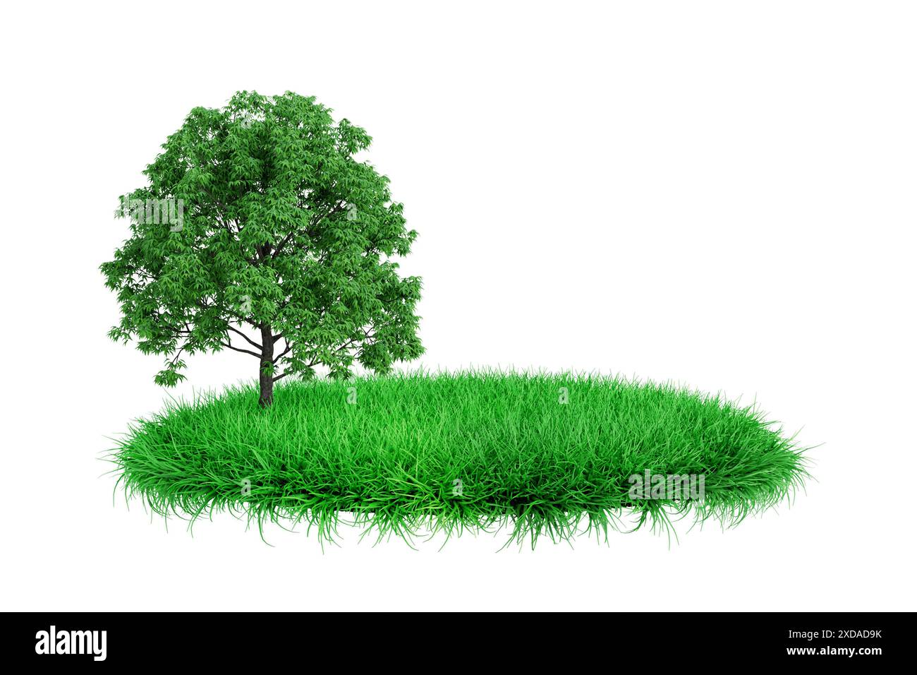 Big Green Tree on a Green Grass Podium Stage on a white background. 3d ...