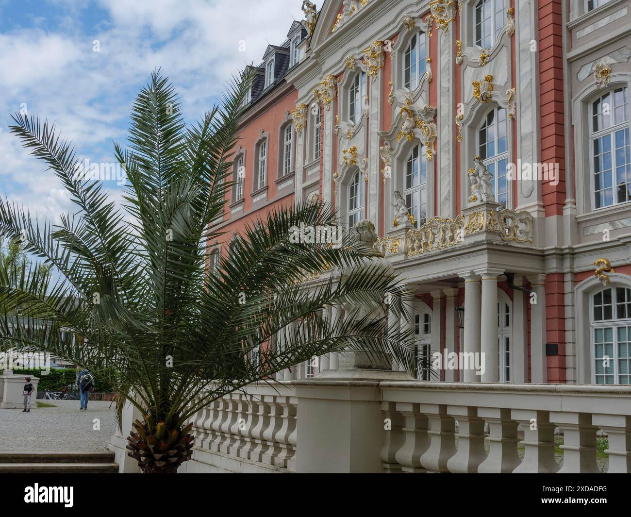 Historic building with baroque facade and palm tree in the foreground ...