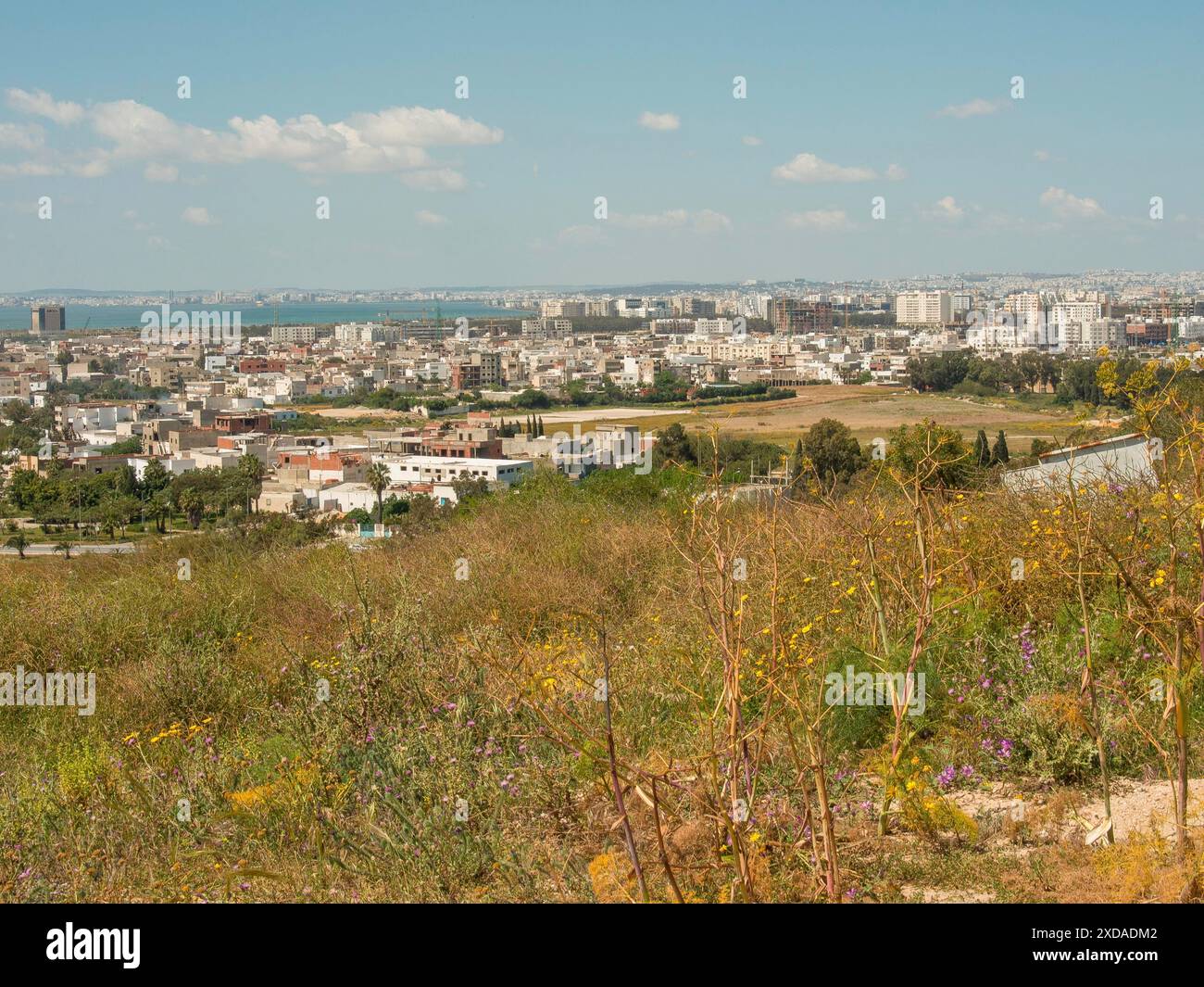 Panorama of a cityscape with wide fields and the skyline in the ...