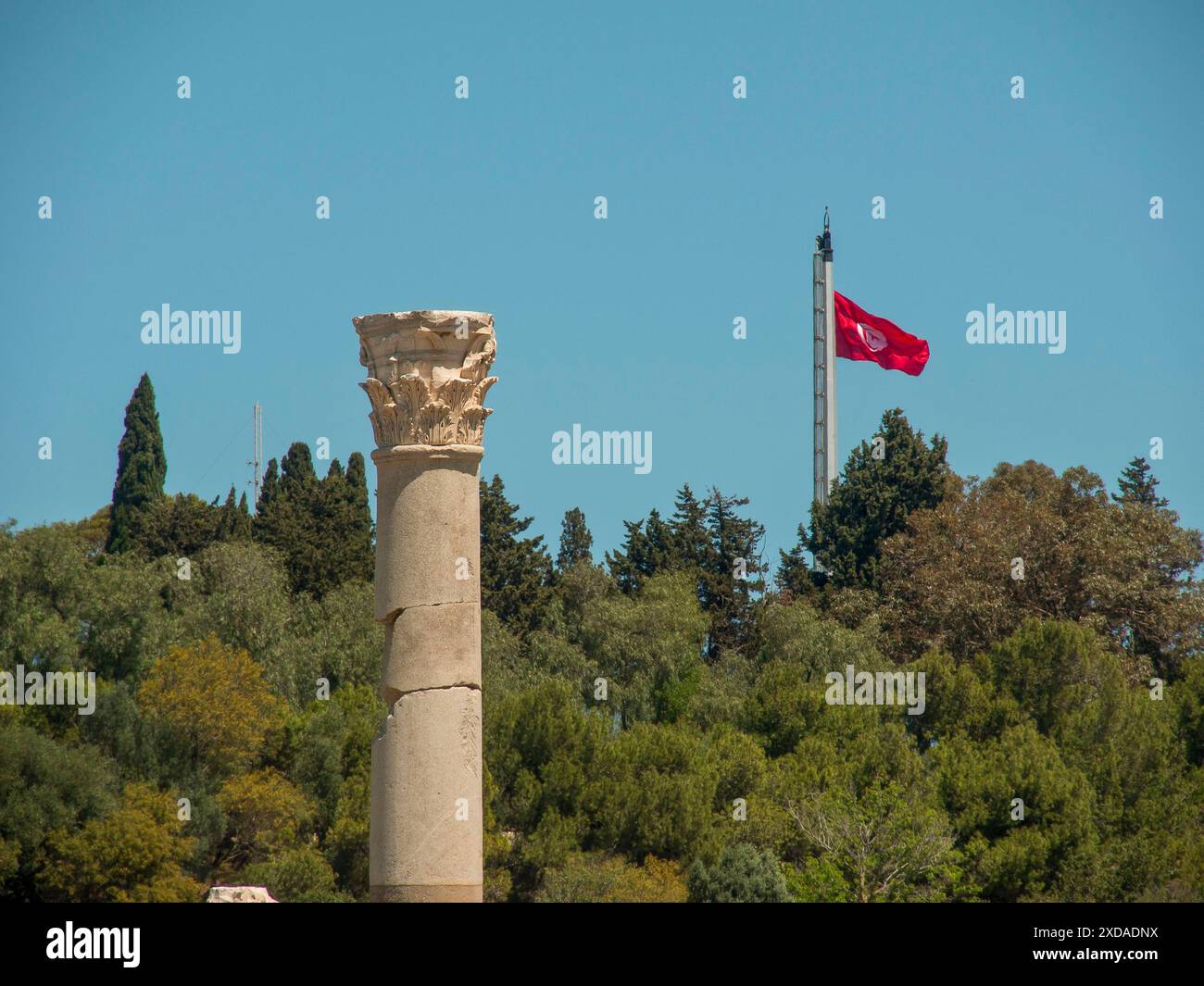 Ancient column in front of a landscape with trees and a flag in the ...