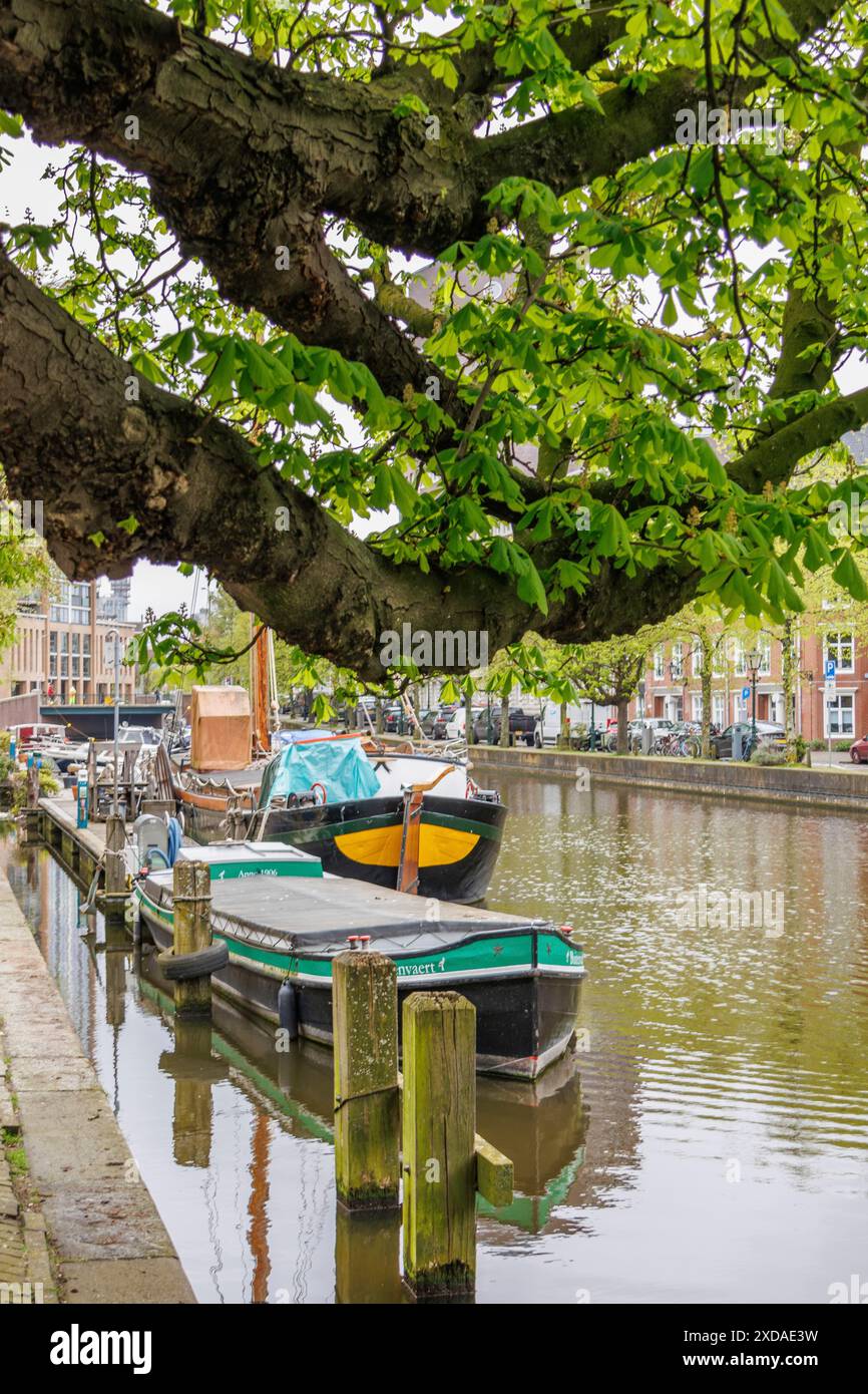 Boat water tree hi-res stock photography and images - Alamy