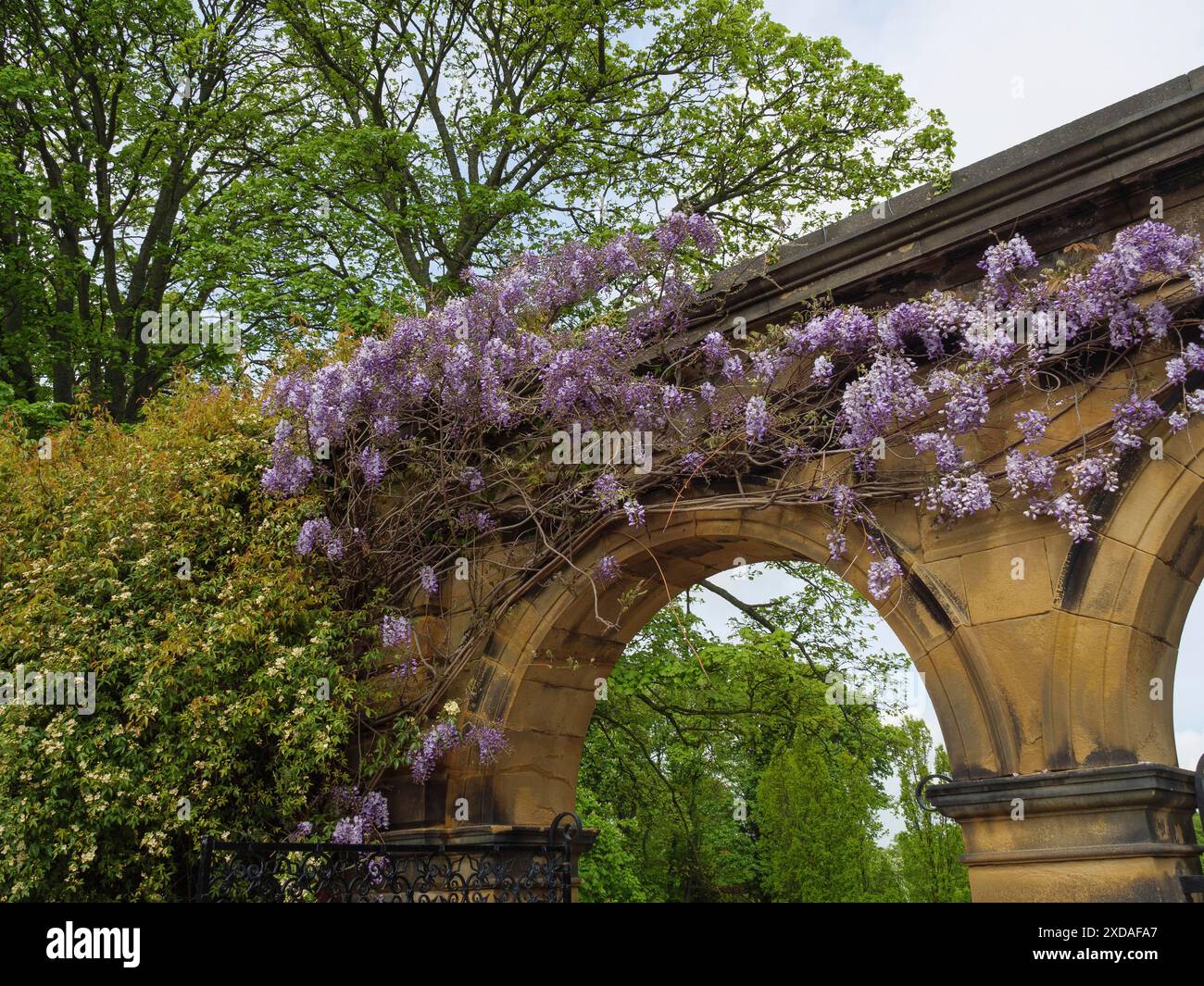 Stone arch with purple flowers in a park, surrounded by green trees and ...