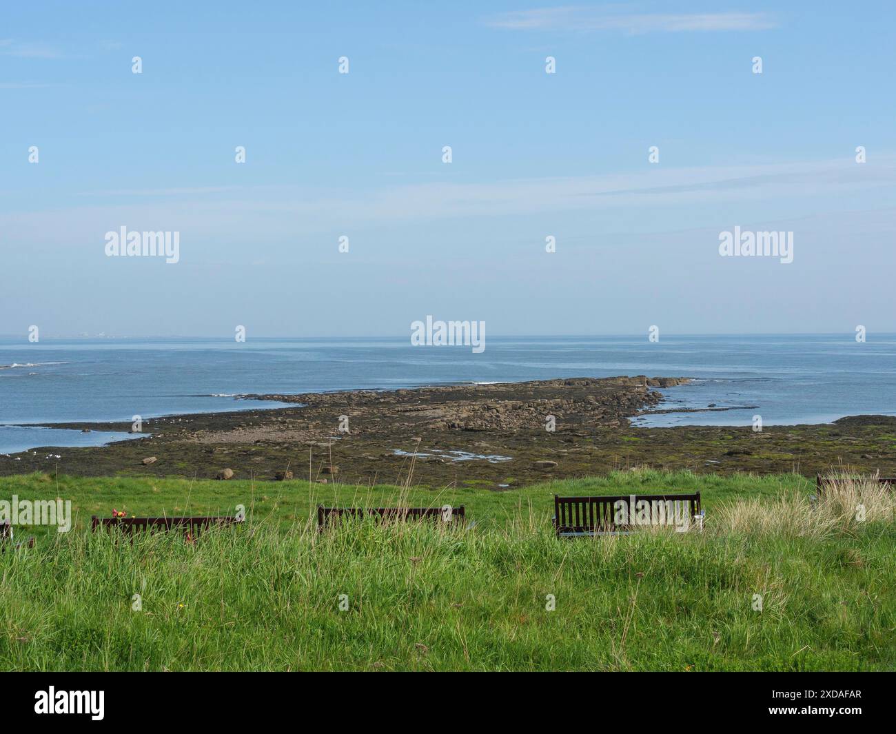 A green meadow by the sea with a view of stony cliffs and benches in ...