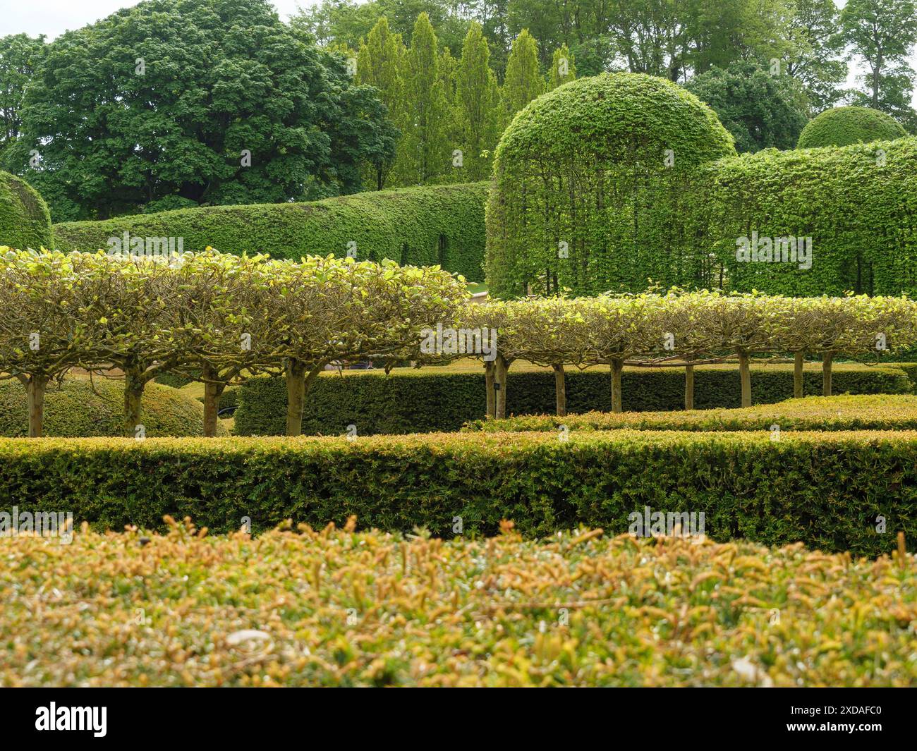 A well-kept garden with trimmed trees and hedges. Various greens in a ...