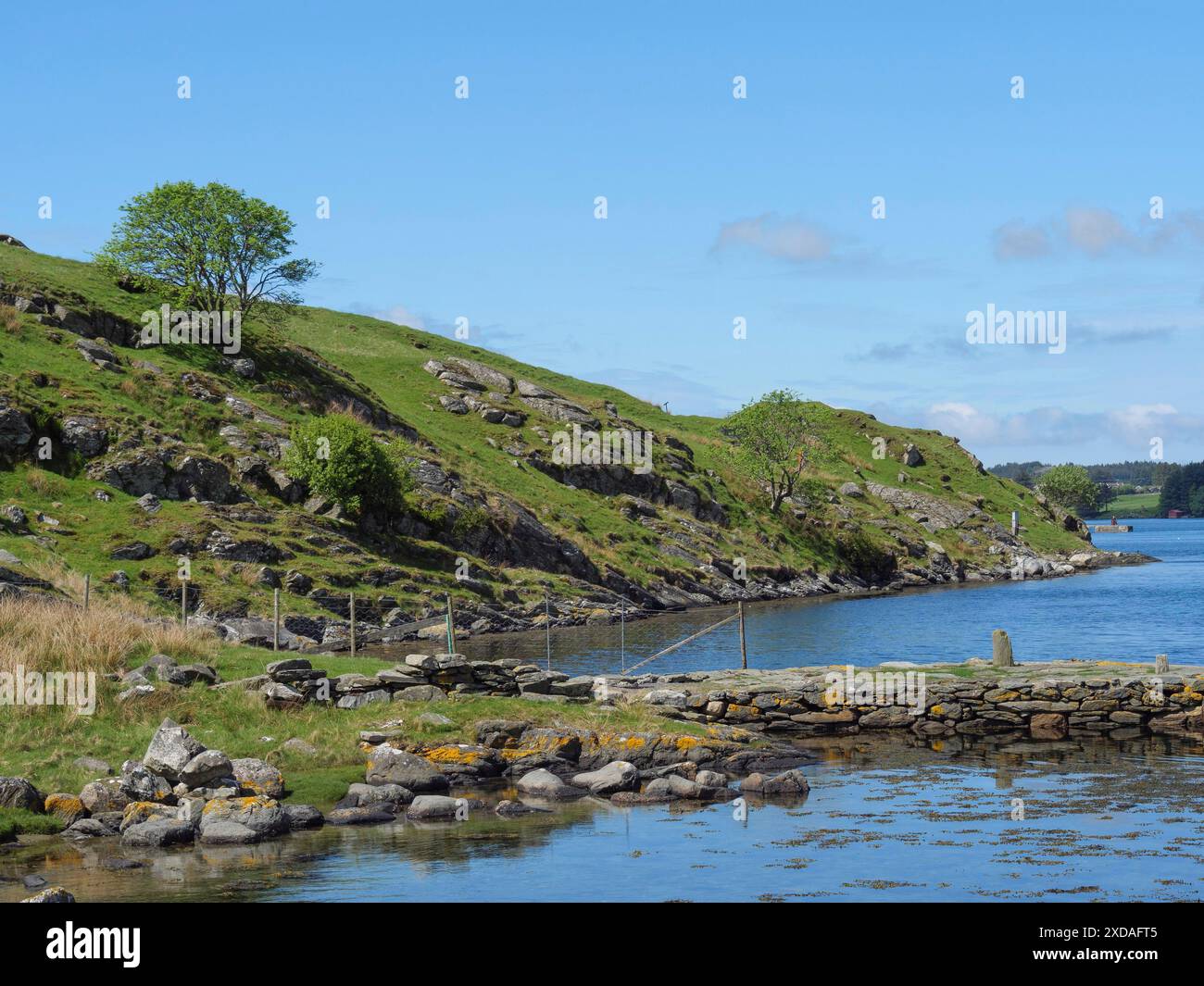 Coastal landscape with grassy hills and rocks by the calm sea, under a ...