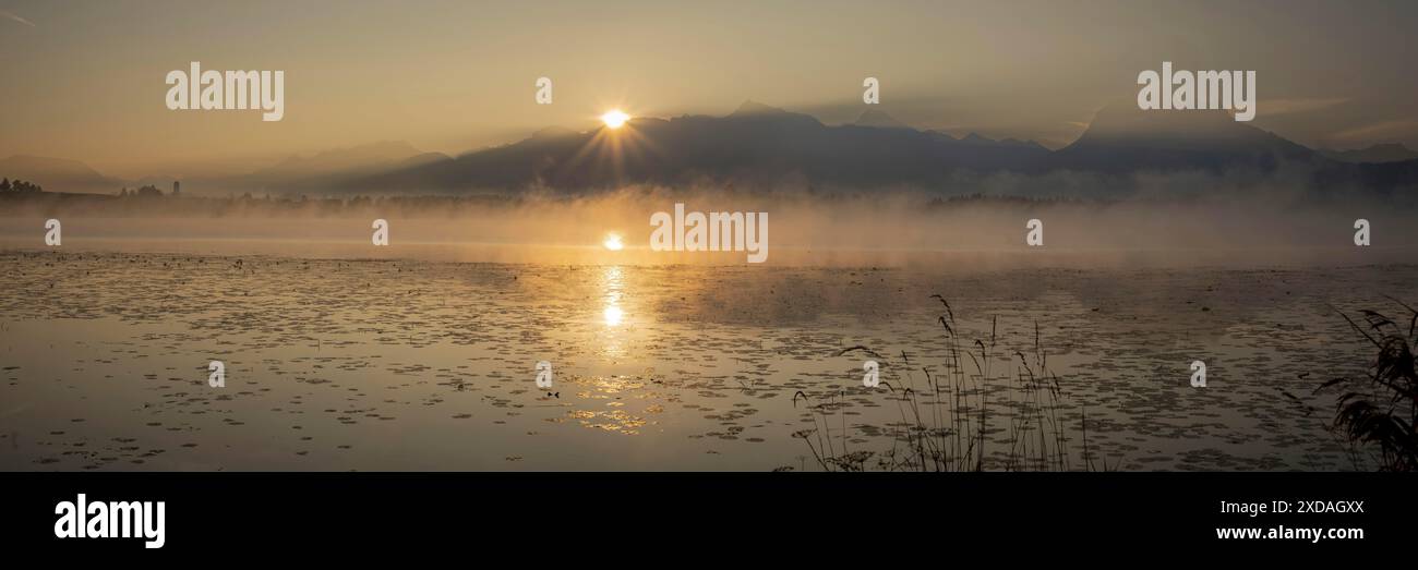 Sunrise at Lake Hopfensee near Fuessen, behind Hopfen am See, the ...