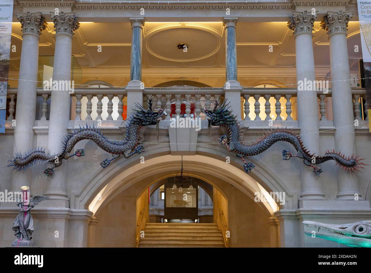 Interior view, Dragon, Bristol City Museum and Art Gallery, Bristol ...