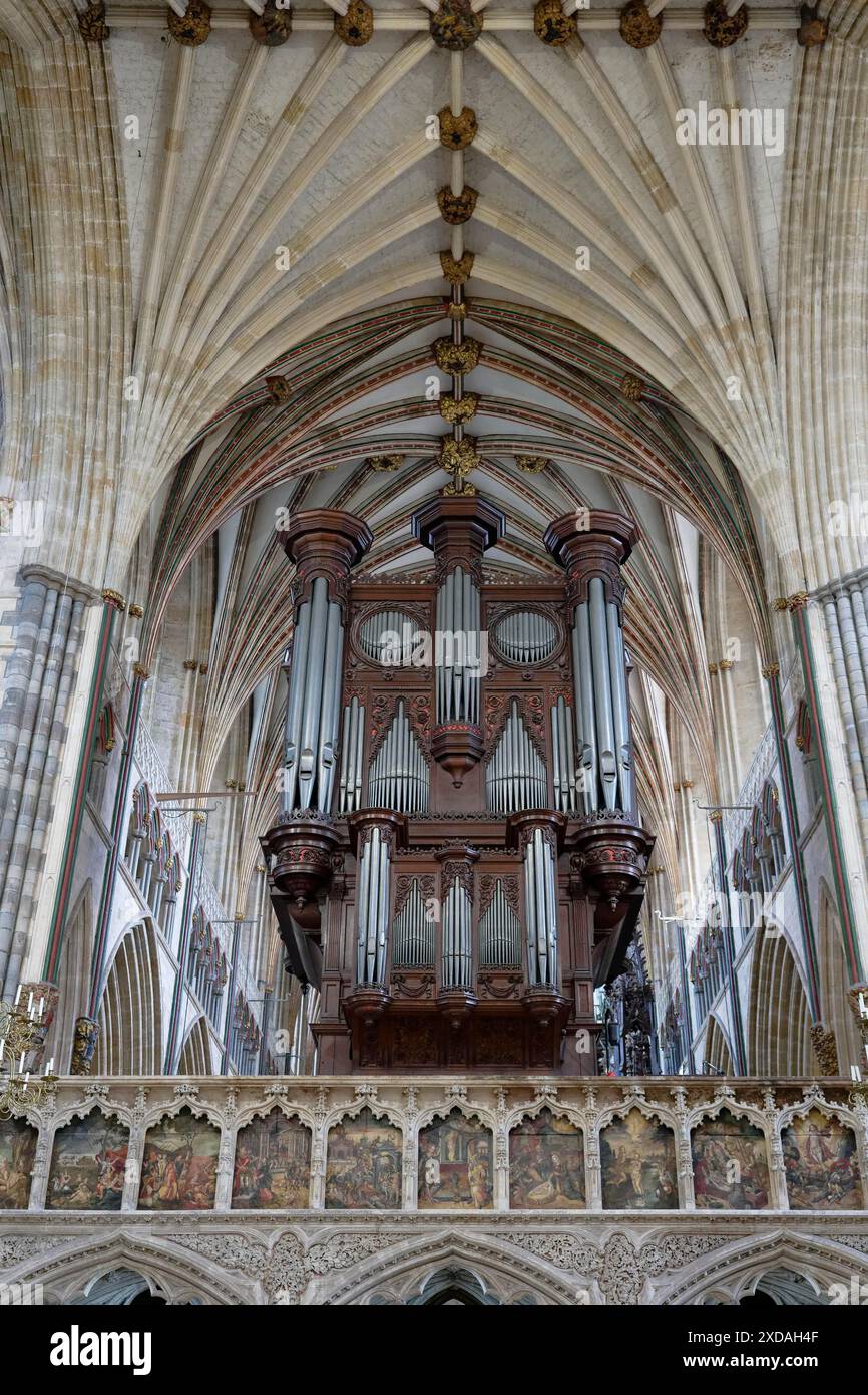Interior view, organ, Exeter Cathedral, Exeter, England, Great Britain ...
