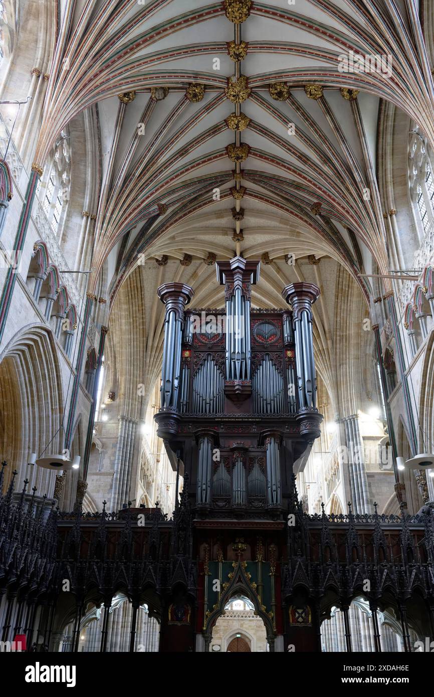 Interior view, organ, Exeter Cathedral, Exeter, England, Great Britain ...