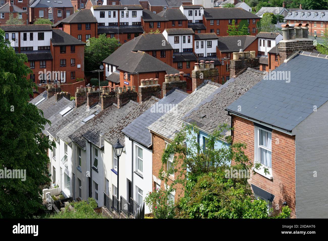Napier Terrace, Exeter, England, Great Britain Stock Photo - Alamy